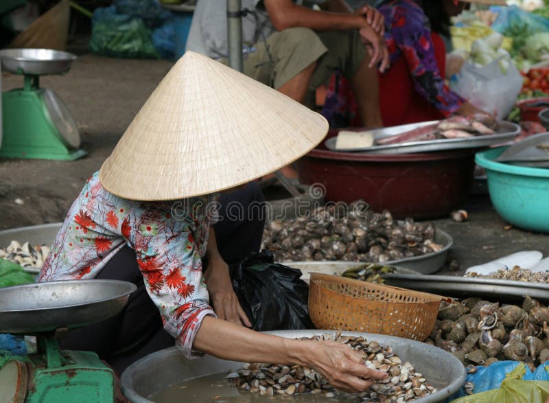 Sorting the shells stock image. Image of shell, stall - 3690861
