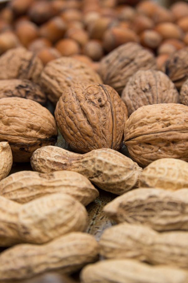 Sorts of nuts stock image. Image of white, snack, variety - 49833043