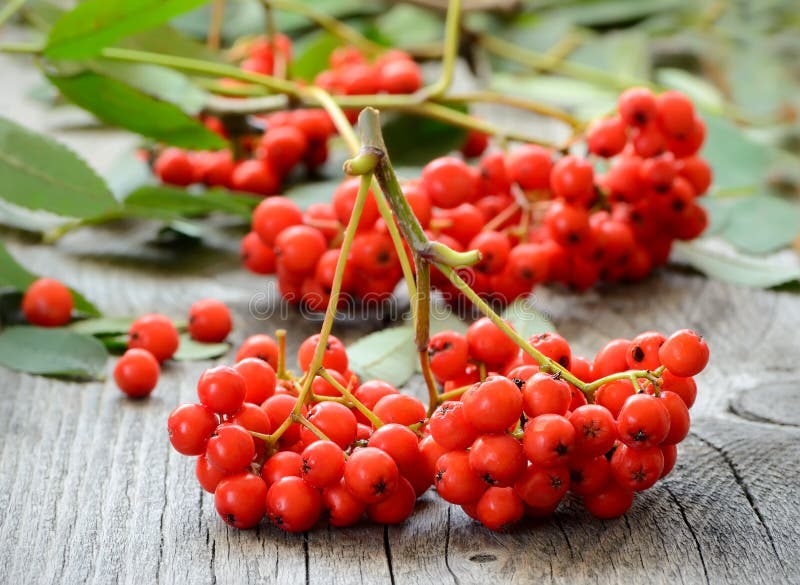 Sorva na tabela imagem de stock. Imagem de baga, grupo - 35260977