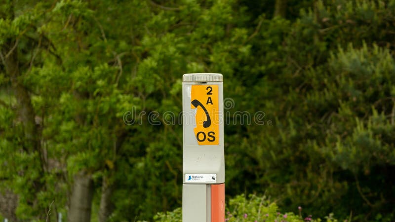 618 Sos Forest Stock Photos - Free & Royalty-Free Stock Photos from ...