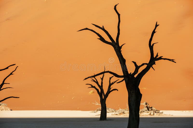 Sossusvlei, Famous Sand Dunes and Dead Trees in Deadvlei Stock Image ...