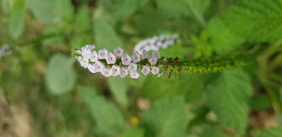 Soton stock image. Image of soton, good, nice - 144080049