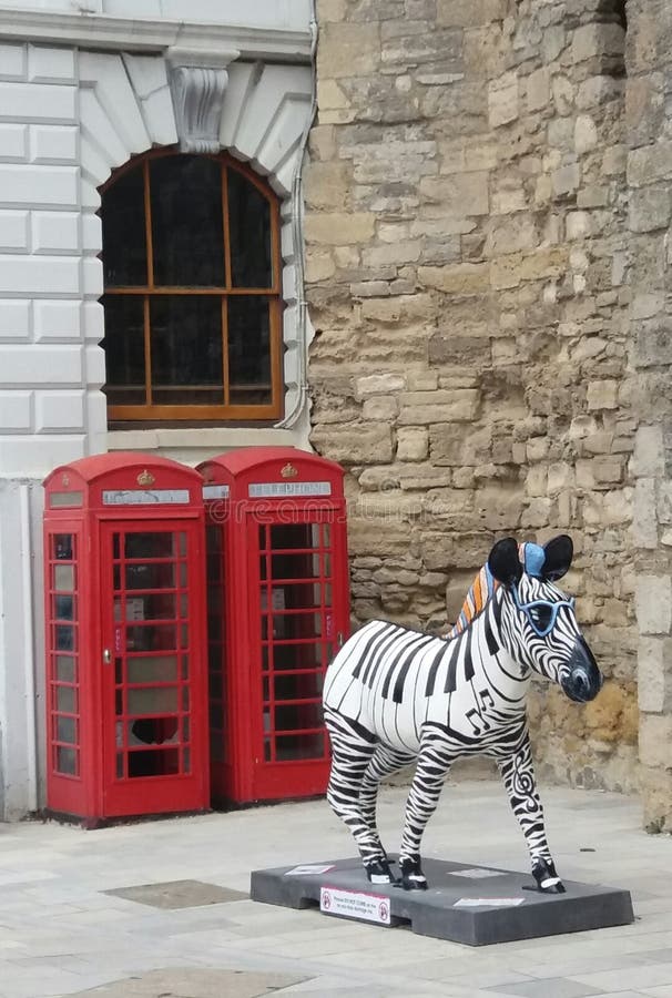 Soton-zebra in City stock photo. Image of white, soton - 77065424