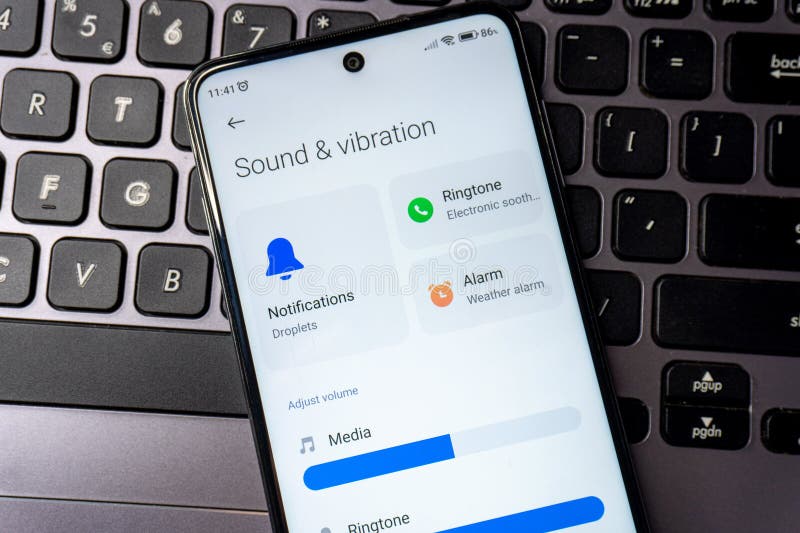 Arad , Romania - February 02 2025: Sound and Vibration Settings ...