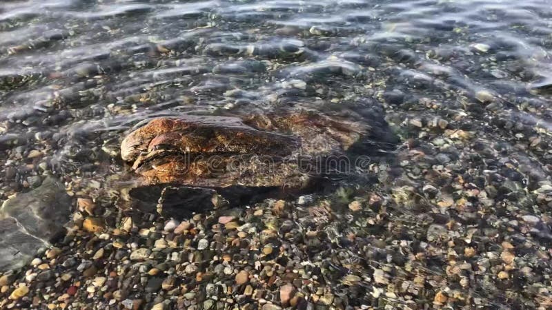 Sound of Waves at the Beach Stock Footage - Video of rock, natural ...