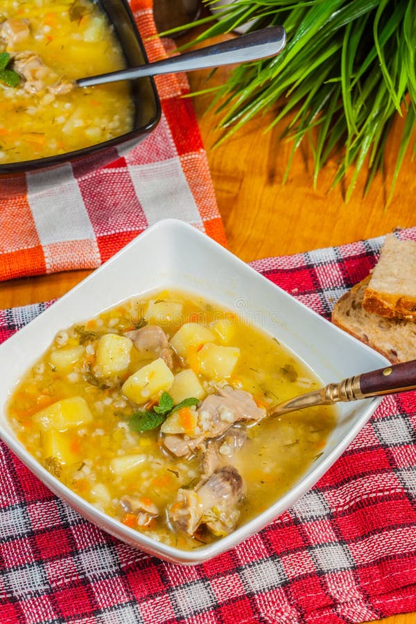 Soup with buck. stock image. Image of kitchen, dish, cooking - 46654355