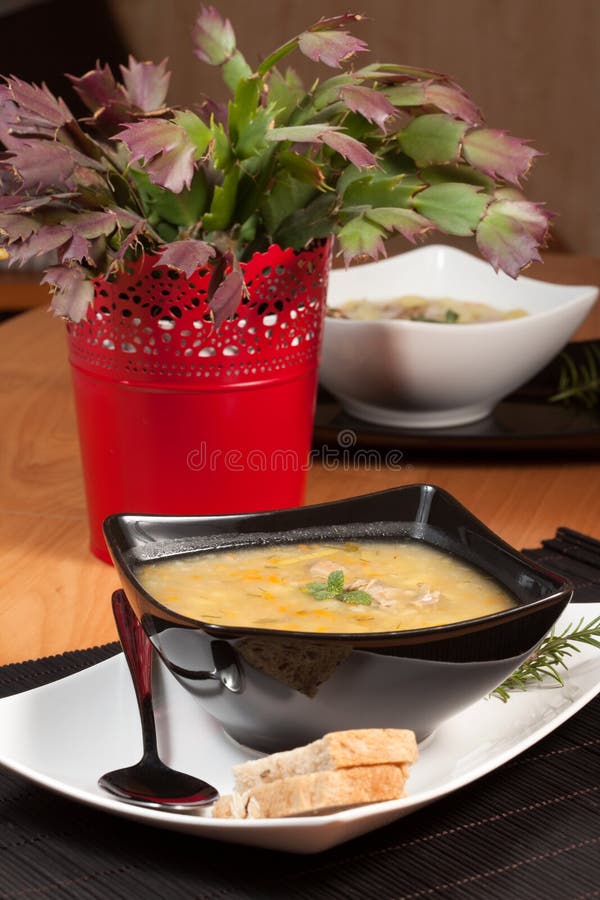 Soup with buck. stock image. Image of homemade, health - 46882433