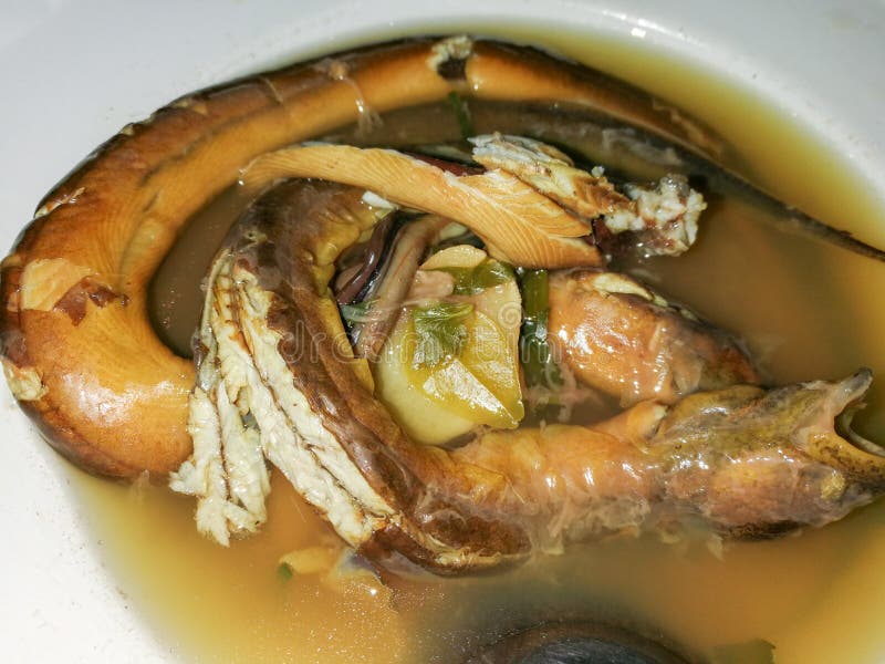 2,231 Cooked Eel Stock Photos - Free & Royalty-Free Stock Photos from ...
