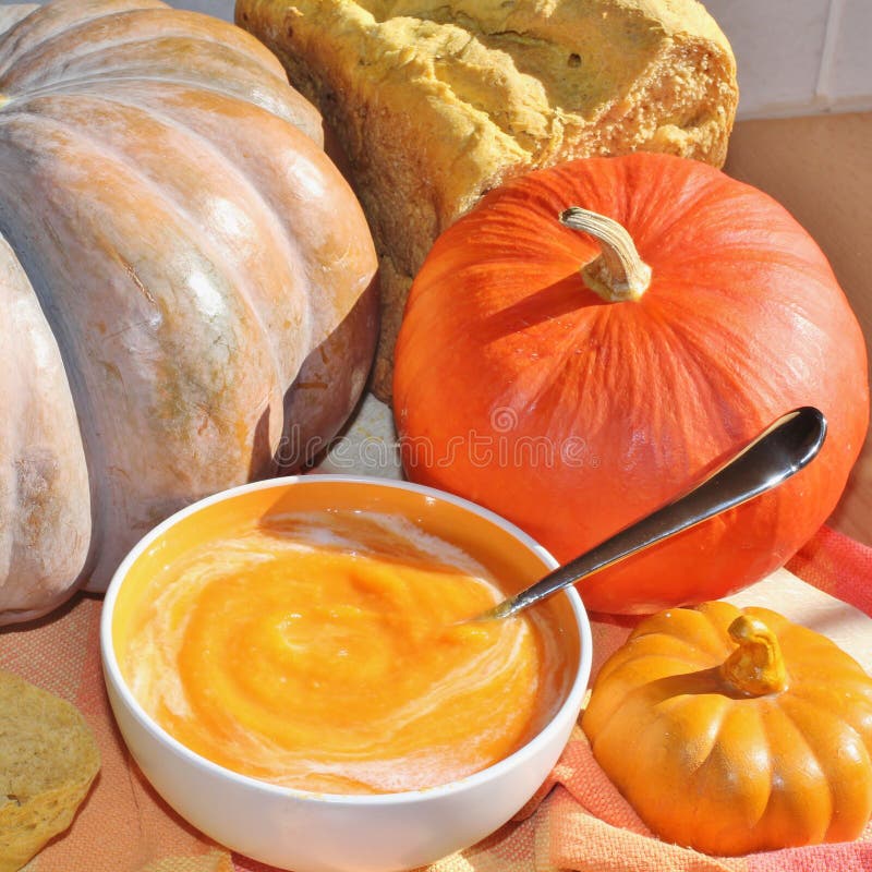 Carrots Pumpkin Different Vegetable Family Stock Photos - Free ...