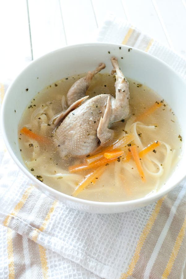 Soup with quail stock image. Image of chicken, quail - 30464555