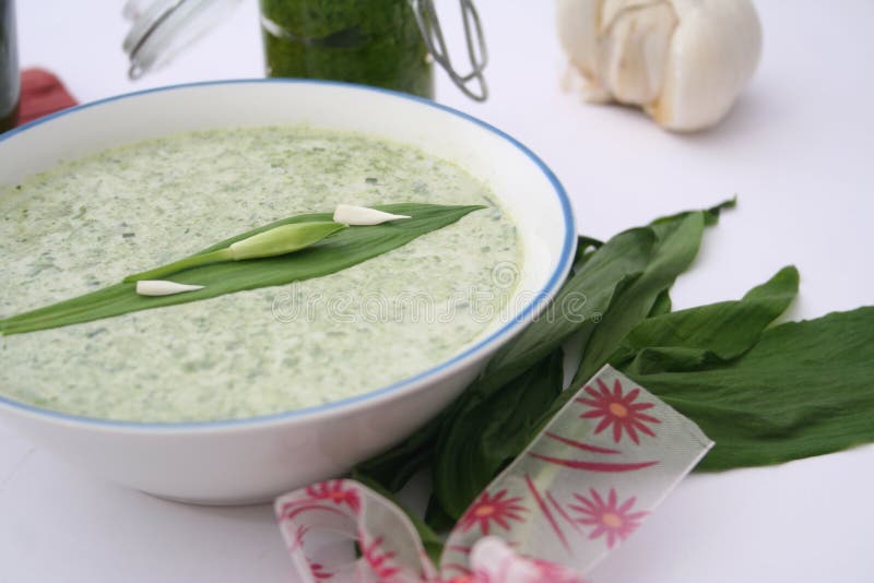 Soup of ramsom stock image. Image of gourmet, fresh, ramson - 39202697