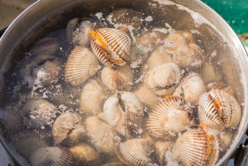 Soup with Sea Shellfish, Cooked by the Fire on the Beach Stock Photo ...
