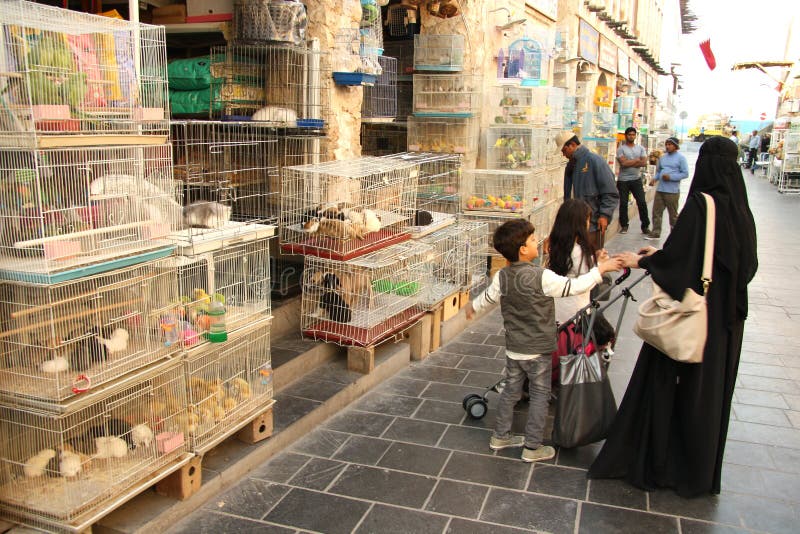 Souq animal em Doha, Catar imagem de stock editorial. Imagem de animais ...
