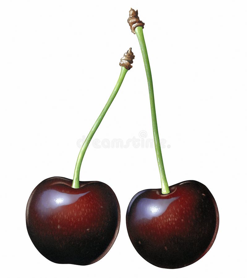 Sour Stock Illustrations – 119,769 Sour Stock Illustrations, Vectors ...