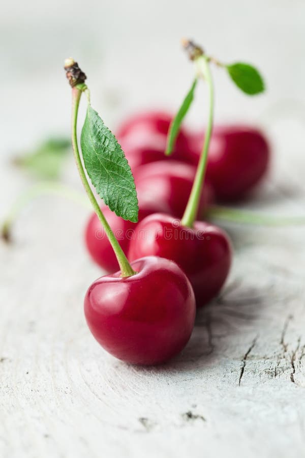 Sour Cherry stock photo. Image of fruits, cherry, garden - 55825788