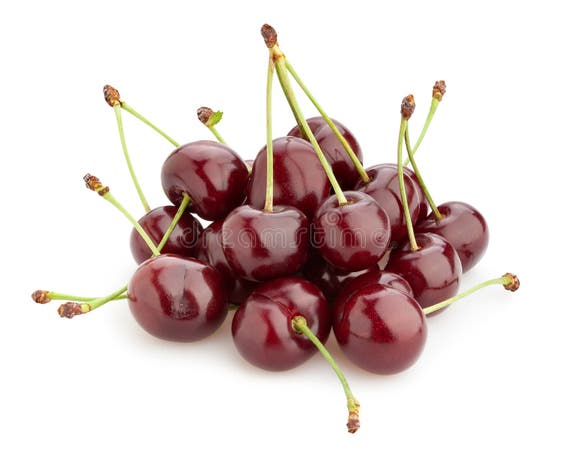 Sour cherry path isolated stock image. Image of fruit - 241743065
