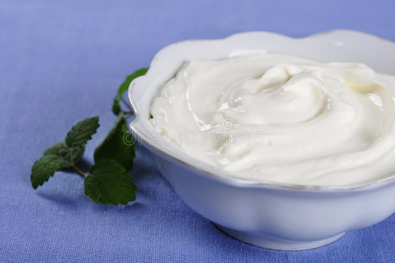 Sour cream stock photo. Image of delicious, culinary - 65873464
