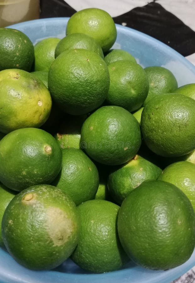 Sour Lime, Delicious As a Cold Drink Stock Photo - Image of delicious ...