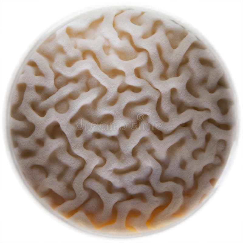 Sour Milk stock image. Image of texture, milk, light - 81764643