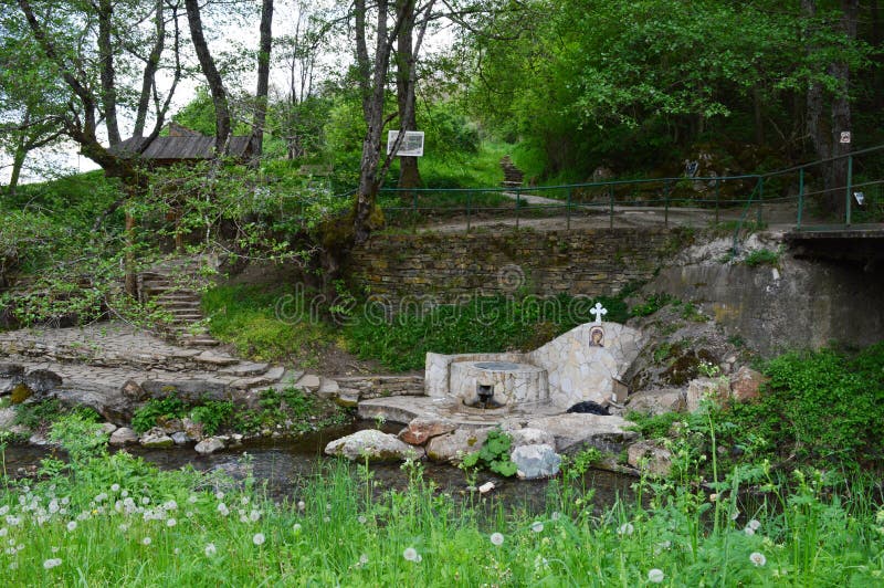 Source of Clean Drinking Water Stock Photo - Image of tree, water ...