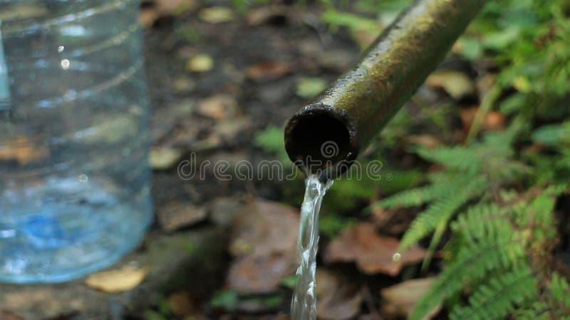Natural, Pure Spring Water Flows from a Pipe in the Ground. Stock ...