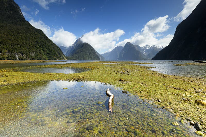 Source of Fresh Water for the World. Stock Image - Image of moss, green ...