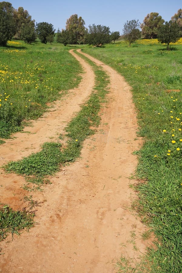 Chemin De Terre Rural Entre Les Champs Verts Image stock - Image du ...
