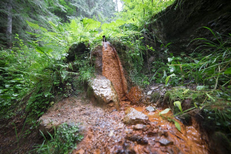 Source of Mineral Water in the Mountains Stock Image - Image of mineral ...