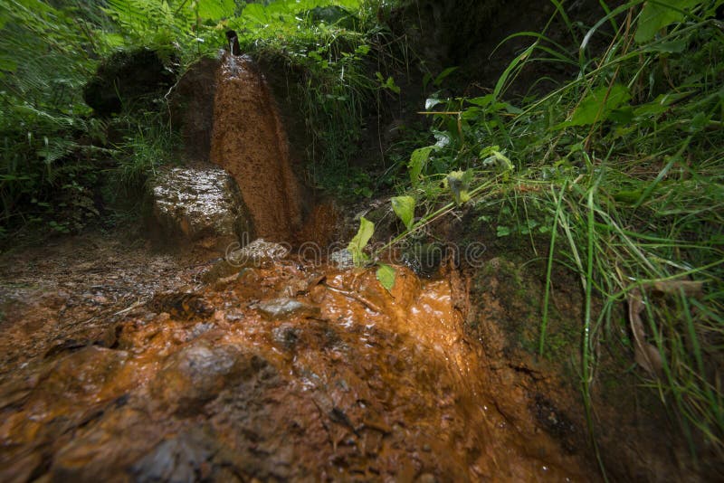 Source of Mineral Water in the Mountains Stock Image - Image of mineral ...