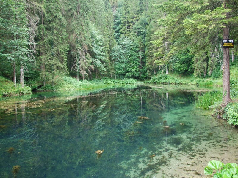 Source of the Mountain River Stock Photo - Image of heaven, garden ...