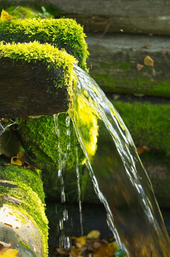 Source of Natural Mineral Water Stock Photo - Image of sunlit, moss ...