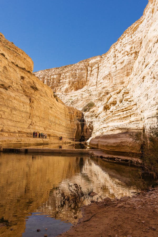 Source in the Negev desert stock image. Image of negev - 67159353
