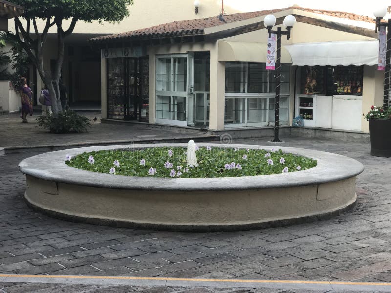 Source editorial image. Image of source, plants, water - 98122965