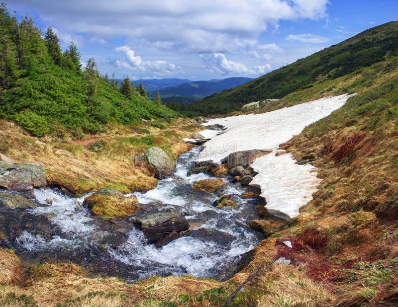 Source of the Prut stock image. Image of nature, creek - 66525489