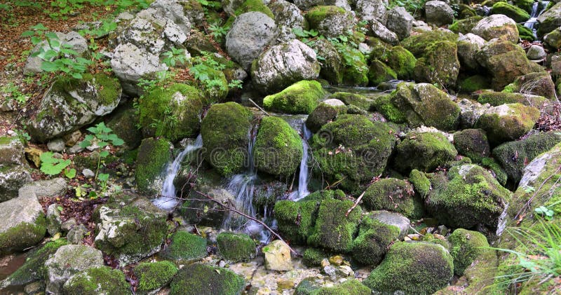 Source of pure fresh water stock image. Image of mountain - 110146811