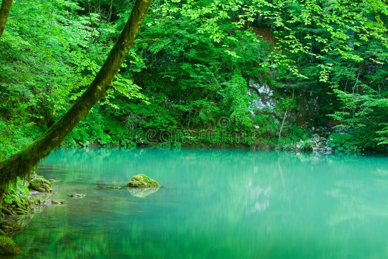 The Source of the River Kupa in Forest Stock Image - Image of mountains ...