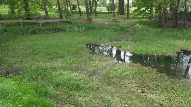 Source of the River Lahn in Germany Stock Footage - Video of vegetation ...