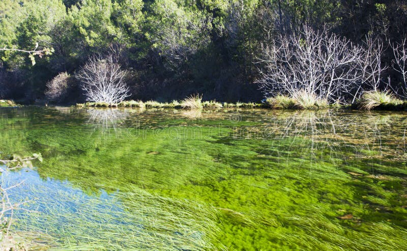 The source of the river stock image. Image of resource - 170191823