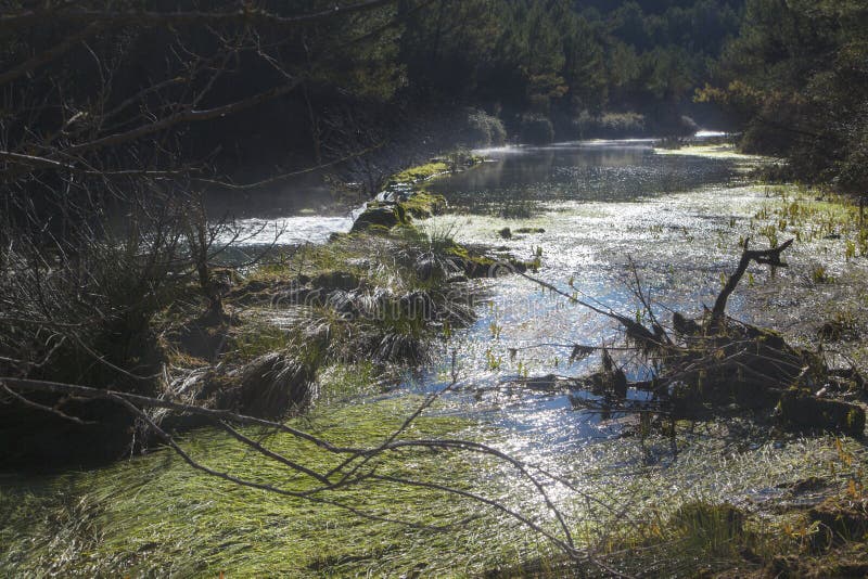 The source of the river stock image. Image of lake, river - 170192077