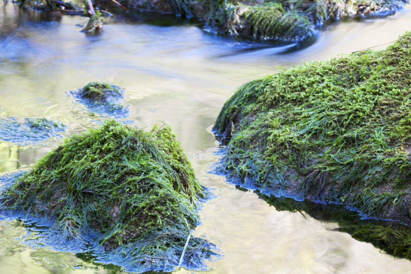 The source of the river stock image. Image of lake, river - 170192077