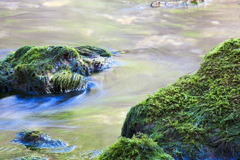 The source of the river stock photo. Image of resource - 170192224