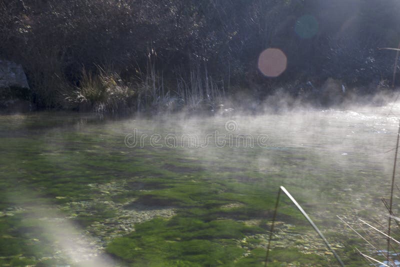 The source of the river stock photo. Image of environment - 170194154