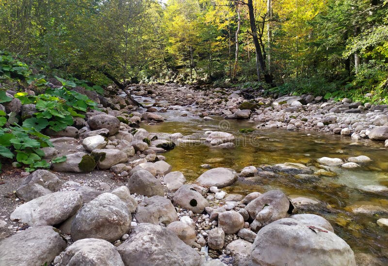 The Source of the River in the Wild, a Walk Along the Riverbed with a ...