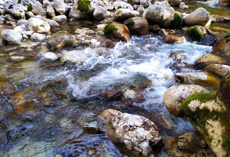 163 Bottom Drawings Stock Photos - Free & Royalty-Free Stock Photos ...