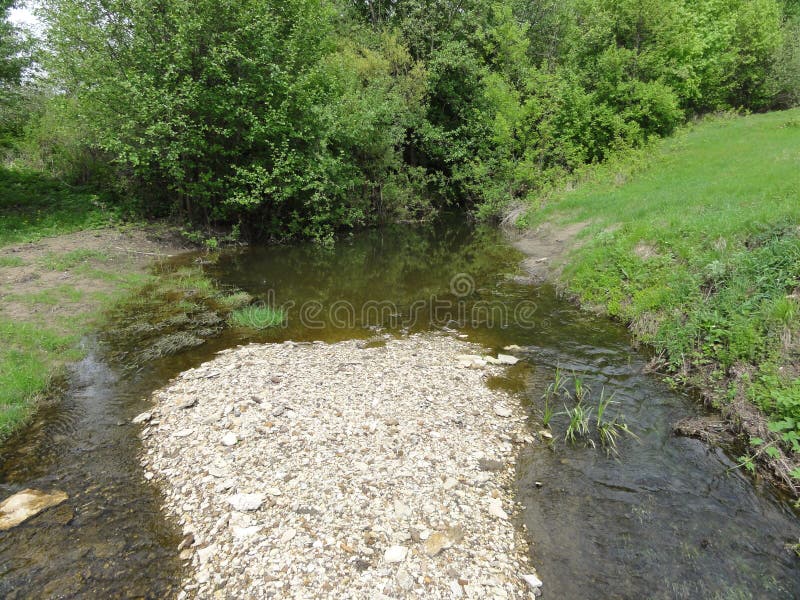 Source of a Small Mountain River Stock Image - Image of natural, river ...