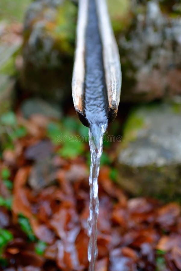 Source of Spring Water Flowing in the Forest Stock Image - Image of ...