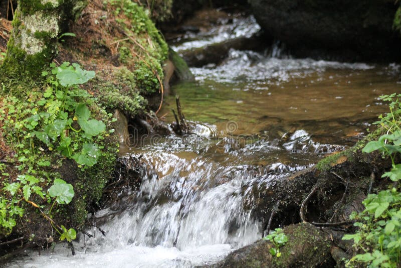 Source of spring water. stock photo. Image of stone - 194793178
