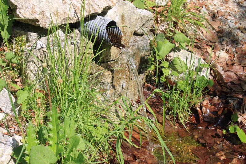 Source of Spring Water in the Forest Stock Photo - Image of drink ...