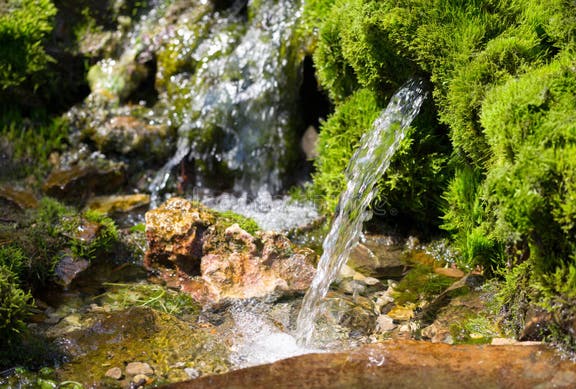 Source of spring water stock image. Image of irrigate - 43892745