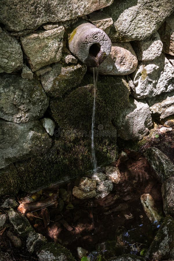 Source of spring water stock photo. Image of drop, flow - 89929202